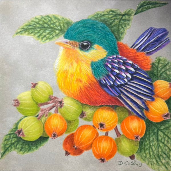 Multicolored Quetzal E-Pattern By Debbie Cushing | Cupboard Distributing